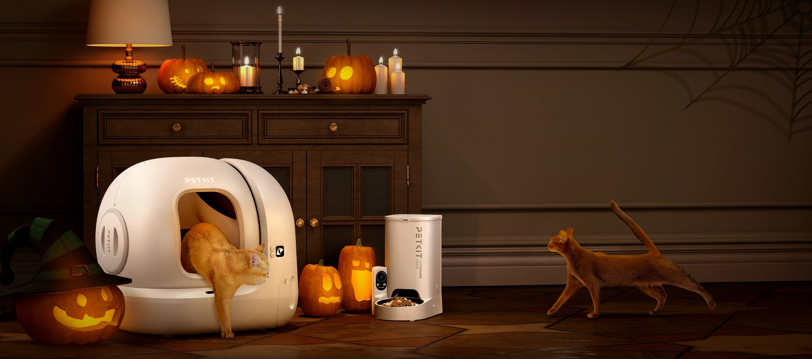 PETKIT Canada - Premium Smart Pet Products & Accessories